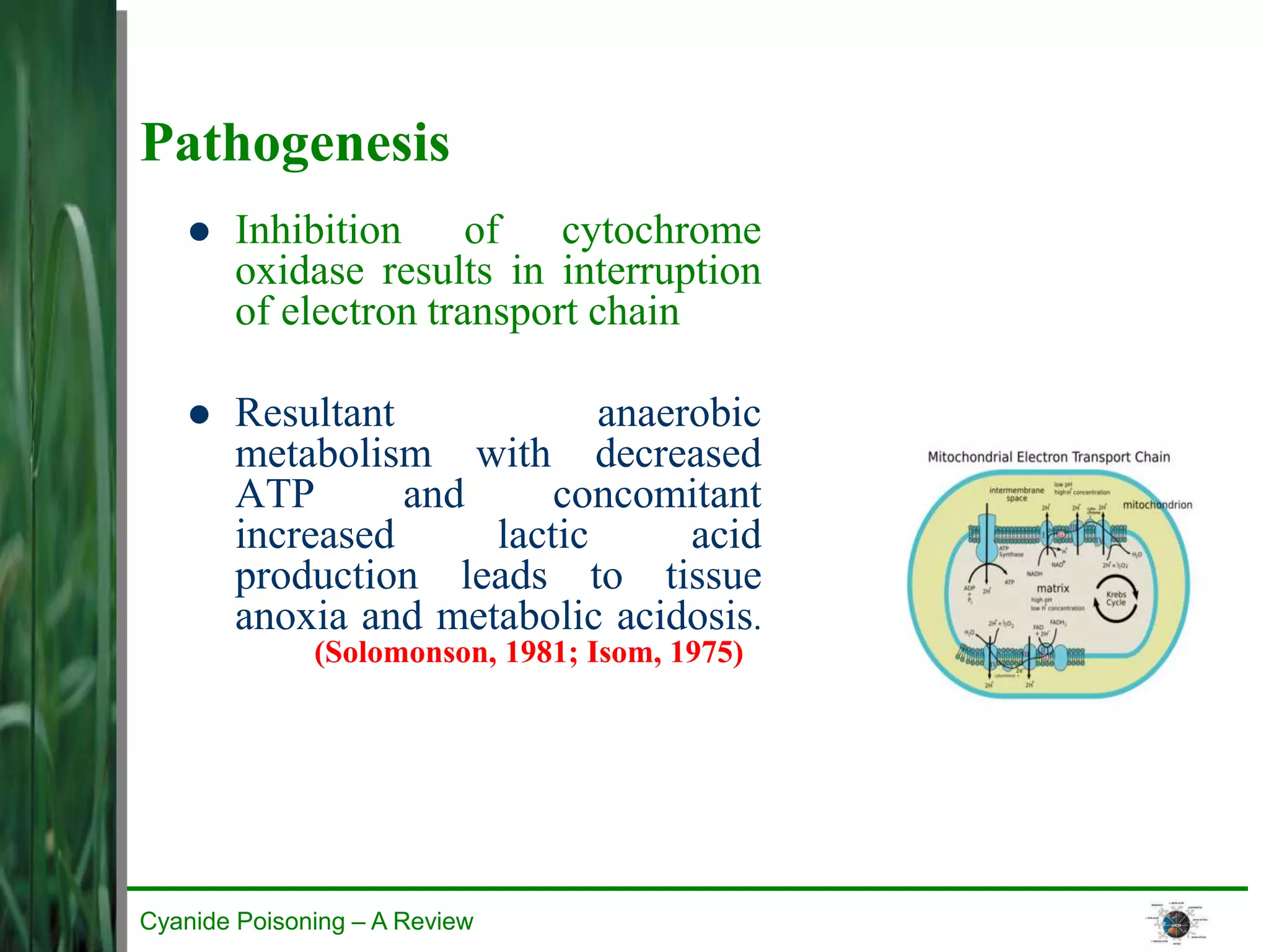Cyanide Poisoning in Livestock; Sorghum Poisoning | PPT