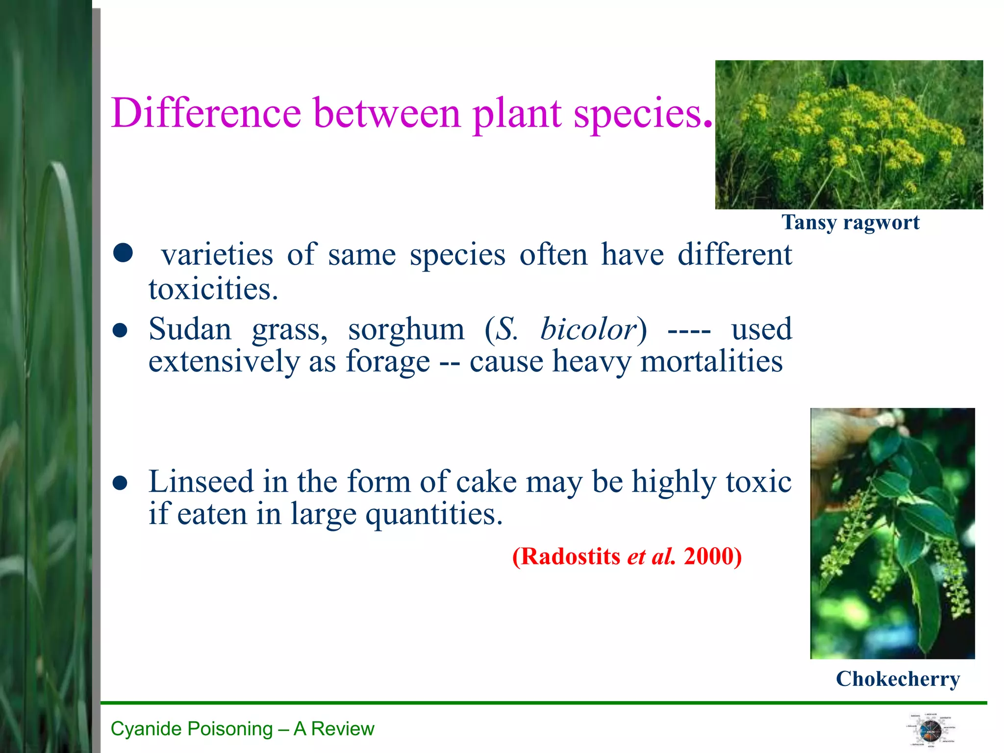 Cyanide Poisoning in Livestock; Sorghum Poisoning | PPT