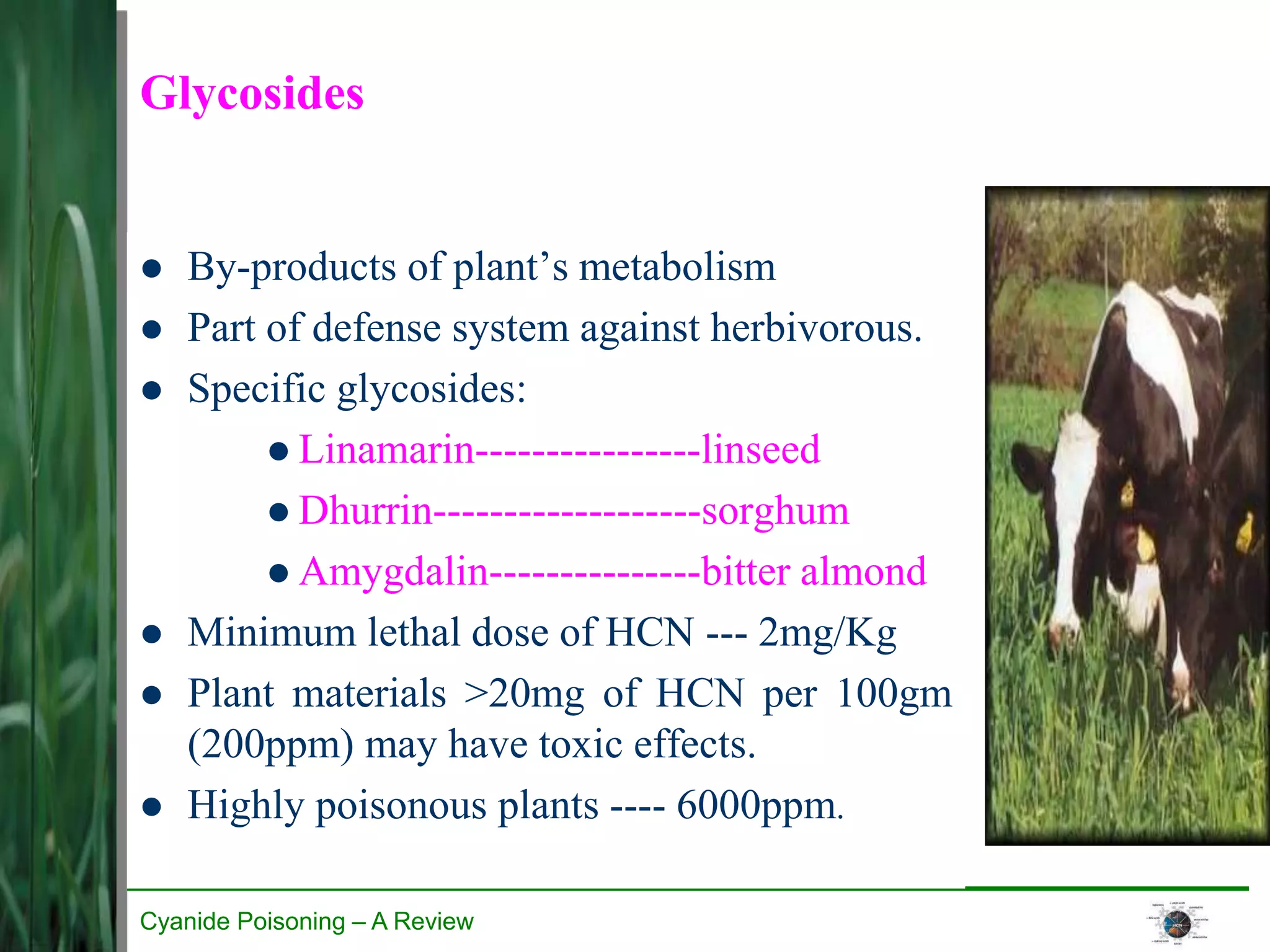 Cyanide Poisoning in Livestock; Sorghum Poisoning | PPT