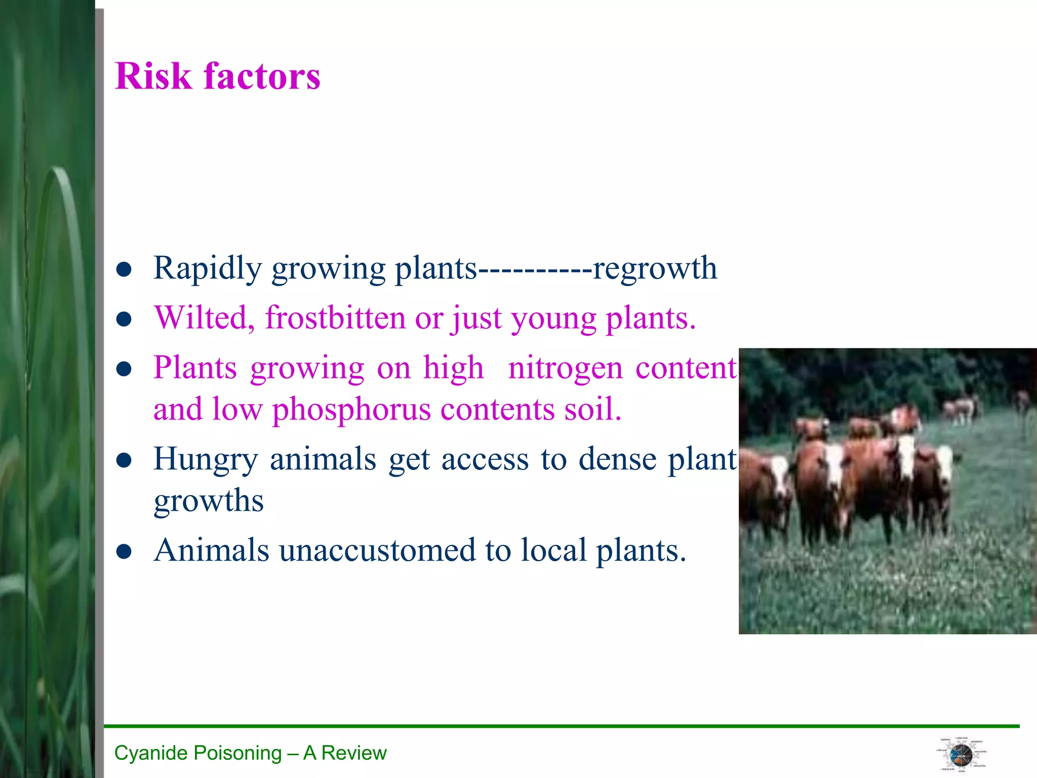 Cyanide Poisoning in Livestock; Sorghum Poisoning | PPT