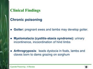 Cyanide Poisoning in Livestock; Sorghum Poisoning | PPT