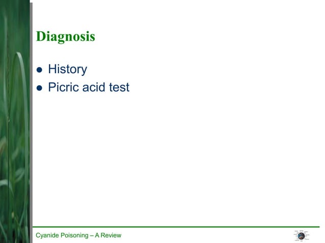 Cyanide Poisoning in Livestock; Sorghum Poisoning | PPT | Veterinary ...