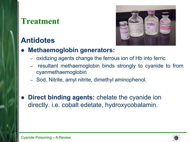 Cyanide Poisoning in Livestock; Sorghum Poisoning | PPT | Veterinary ...