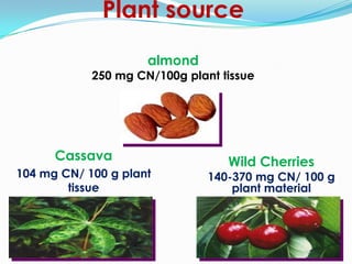 Cyanide poisoning 2012 | PPTX
