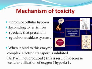 Cyanide poisoning 2012 | PPTX