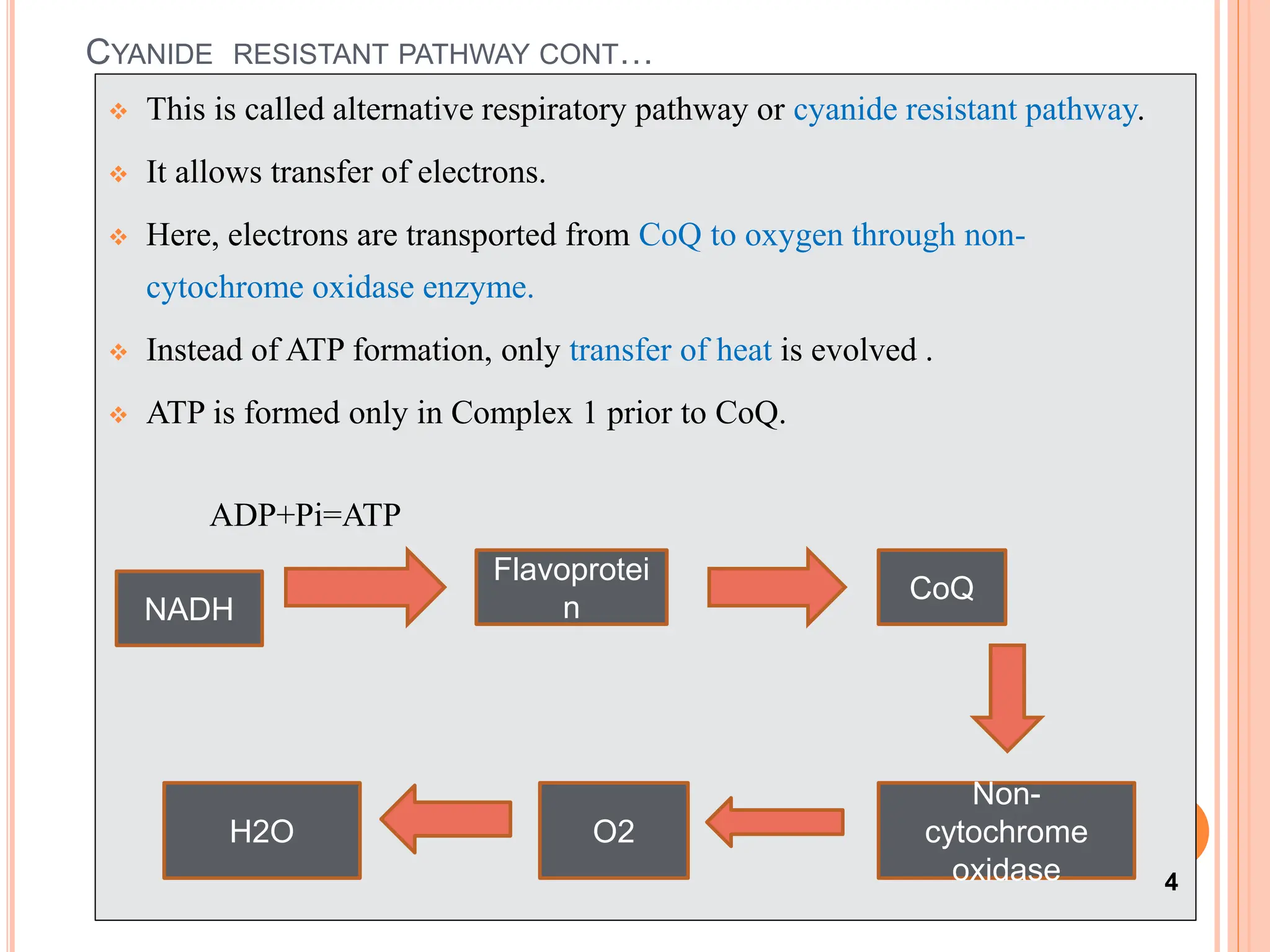 Cyanide resistant respiration pathway.pptx