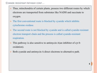 Cyanide resistant respiration pathway.pptx