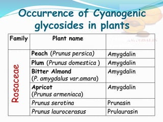 Cyanide toxicity in plants | PPTX