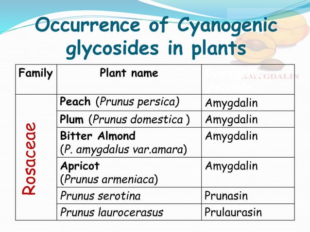 Cyanide toxicity in plants | PPT