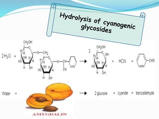 Cyanide toxicity in plants | PPTX