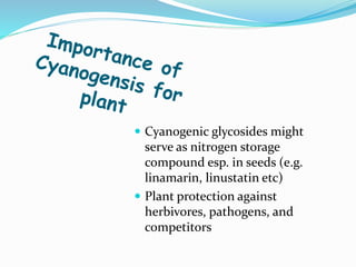 Cyanide toxicity in plants | PPTX