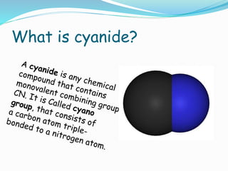 Cyanide toxicity in plants | PPTX
