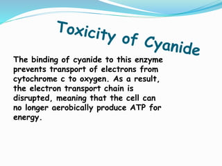Cyanide toxicity in plants | PPTX