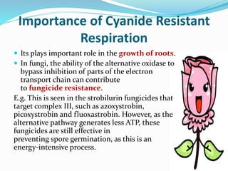 Cyanide toxicity in plants | PPTX