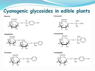 Cyanide toxicity in plants | PPT