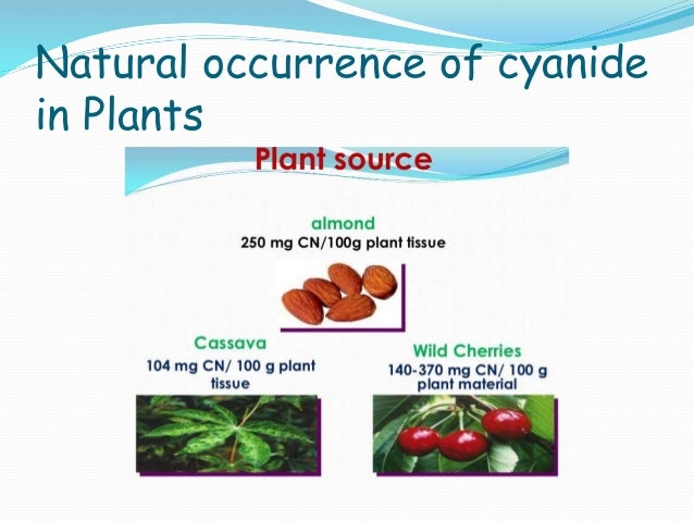 Cyanide toxicity in plants