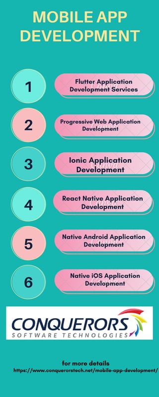 Custom Software and Mobile App Development | PDF