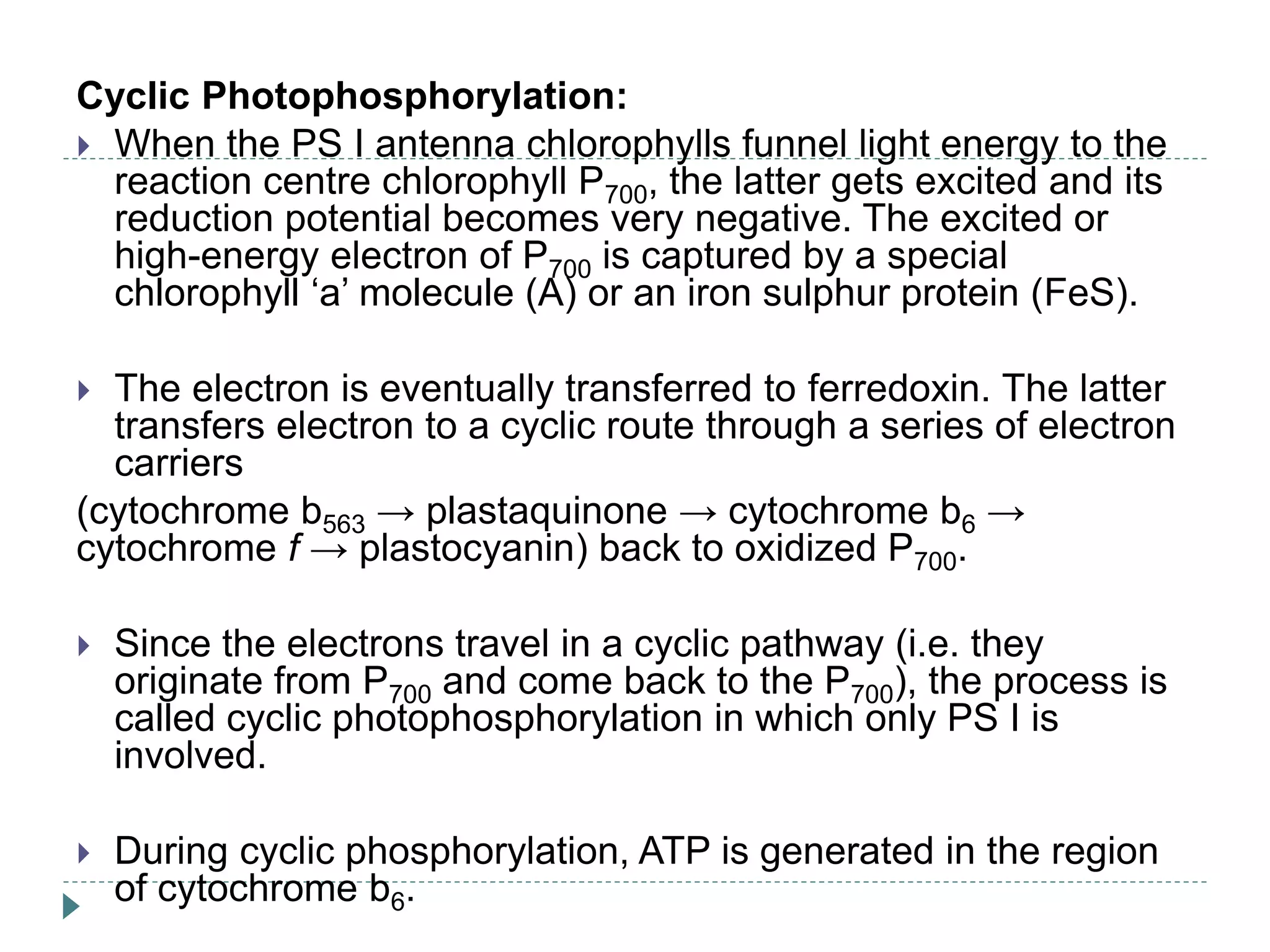 LIGHT REACTION IN CYANOBACTERIA | PPTX