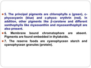cyano bacteriaaaaaaaaaaaaaaaaaaa(1).pptx