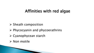 Cyanobactaria its growth, reproduction and Economic importance | PPTX