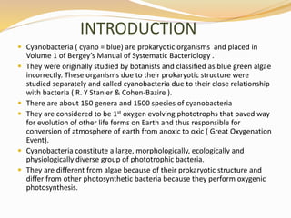 Cyanobacteria 1 (1) | PPTX