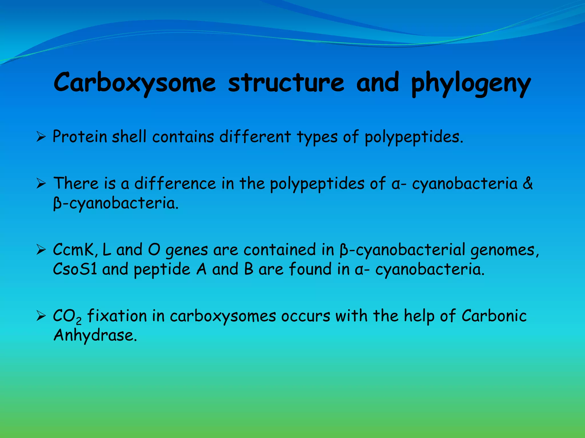 CO2 Concentrating Mechanism in Cyano bacteria | PPTX