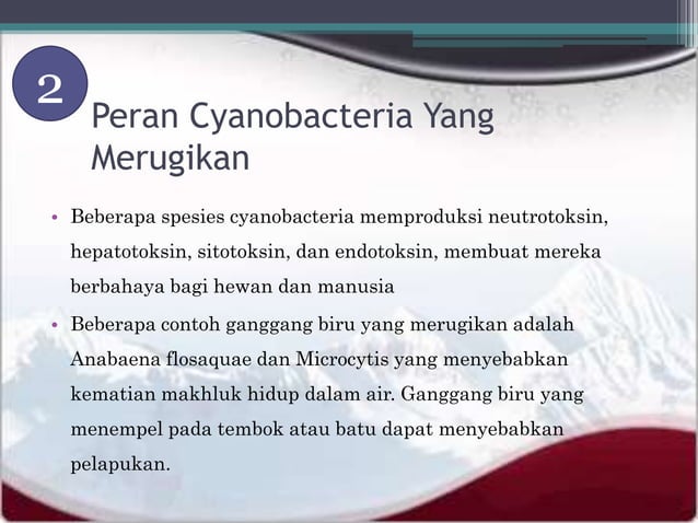 Cyanobacteria | PPT