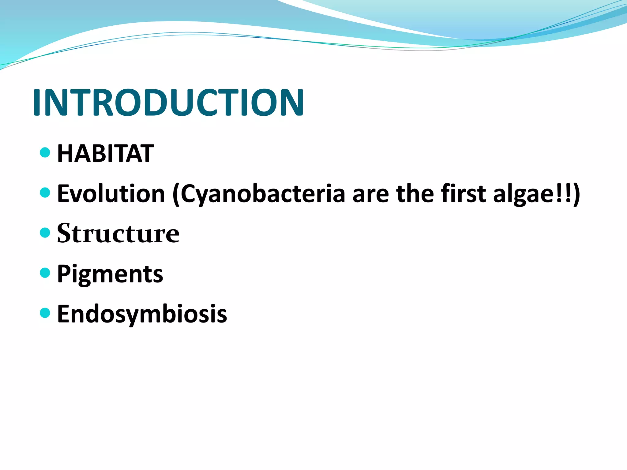 Cyanobacteria | PPTX