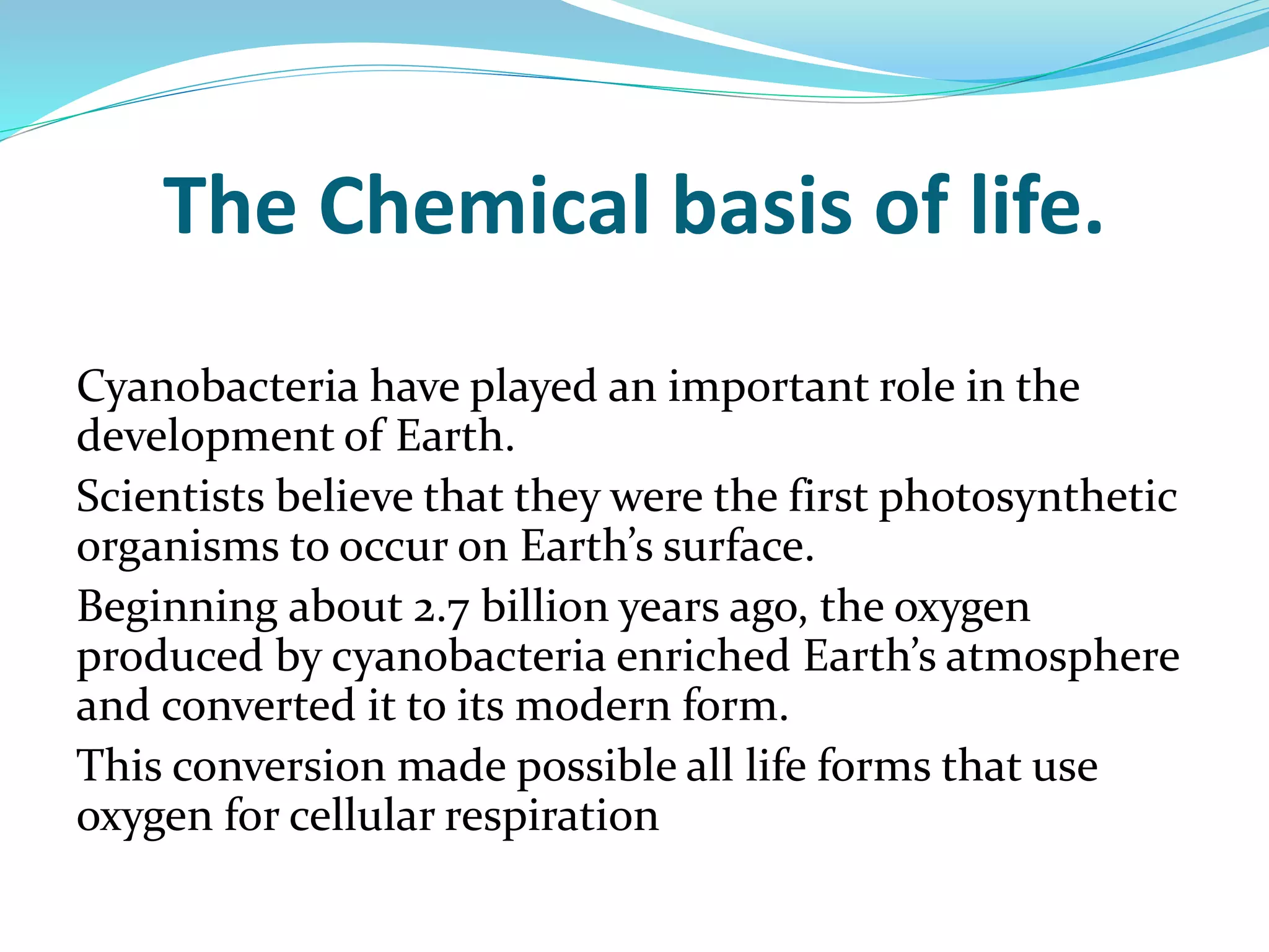 Cyanobacteria | PPTX