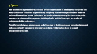 Cyanobacteria ultrastructure, and significant microcystic | PPTX
