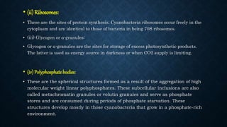 Cyanobacteria ultrastructure, and significant microcystic | PPTX