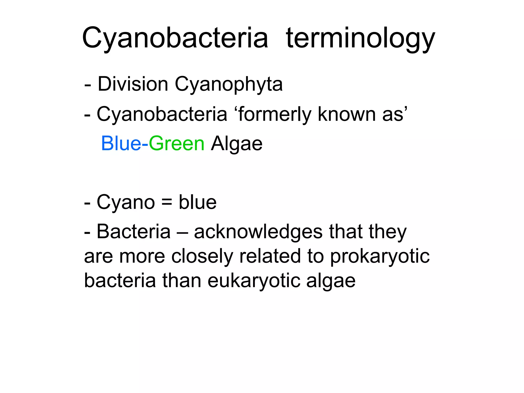Cyanobacteria | PPT