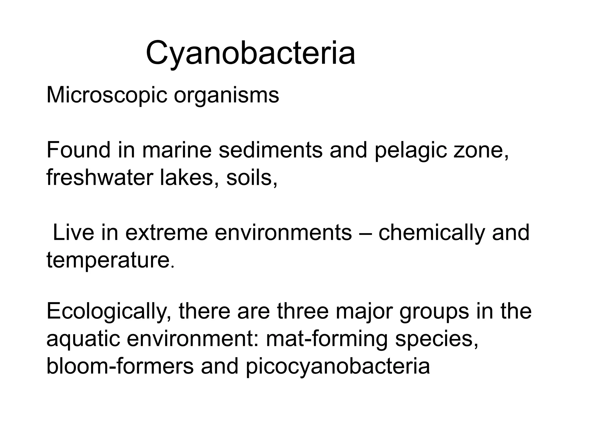 Cyanobacteria | PPT