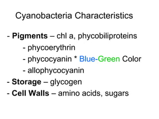 Cyanobacteria | PPT