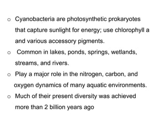 Cyanobacteria | PPT
