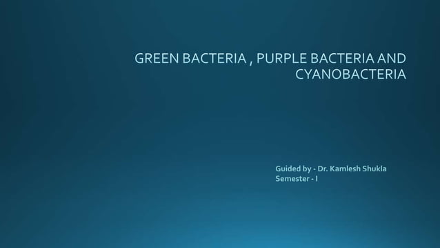 Cyanobacteria and Salient Features of it | PPT