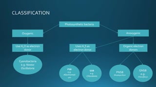 Cyanobacteria and Salient Features of it | PPT