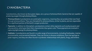 Cyanobacteria and Salient Features of it | PPT