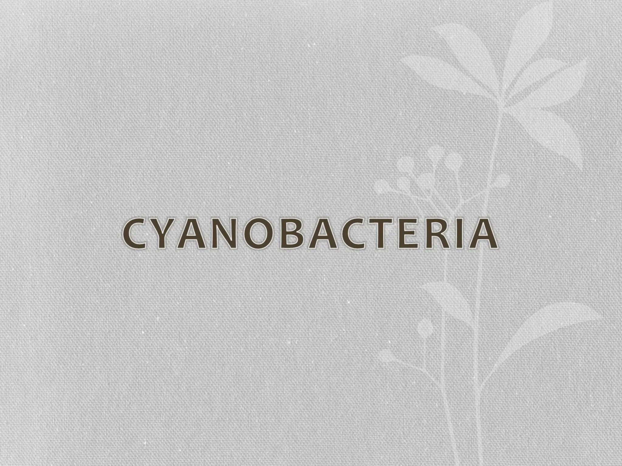 Cyanobacteria details of structure and importance | PPT