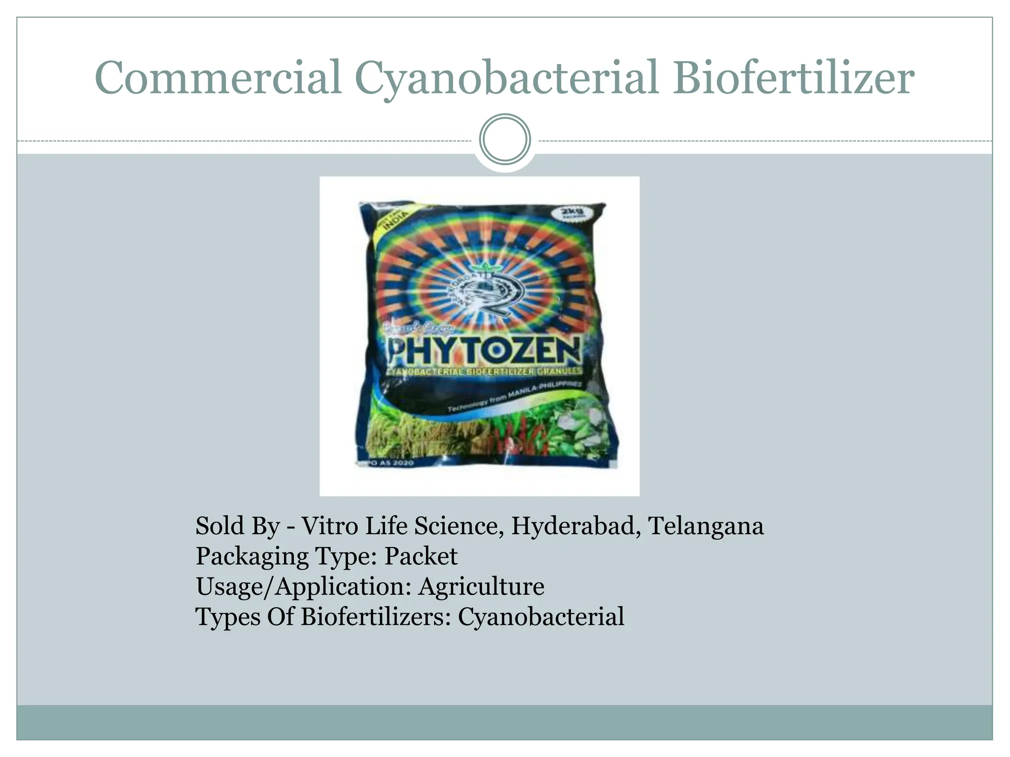 Cyanobacteria as a Biofertilizer (BY- Ayushi).pptx
