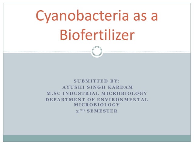 Cyanobacteria as a Biofertilizer (BY- Ayushi).pptx | Agriculture | Industries