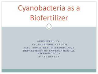 Cyanobacteria as a Biofertilizer | PPT