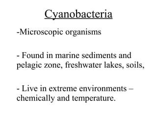 Cyanobacteria lecture | PPT