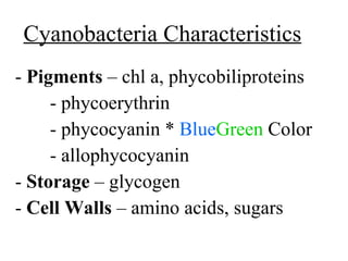 Cyanobacteria lecture | PPT