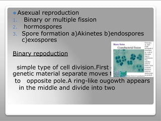 cyanobacteriapptrecent-210706173707.pptx