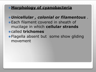 cyanobacteriapptrecent-210706173707.pptx