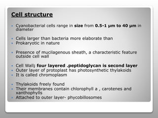 Cyanobacteria ppt recent | PPTX
