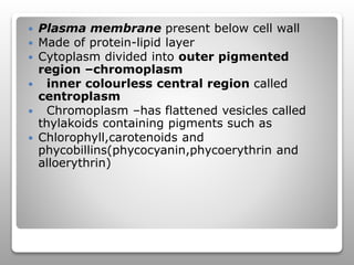 Cyanobacteria ppt recent | PPTX