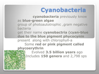 Cyanobacteria ppt recent | PPT