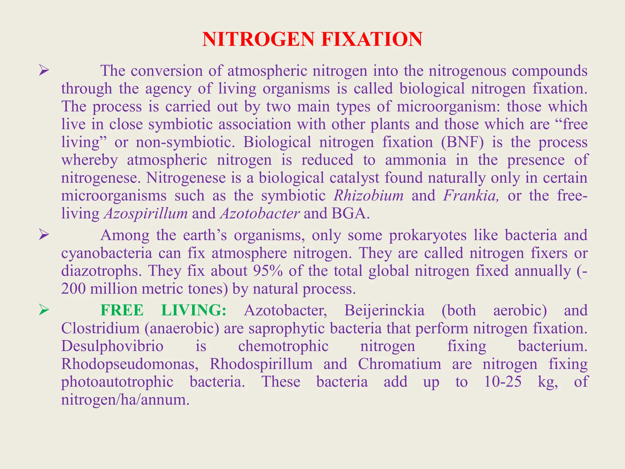 Cyanobacteria & Soil Fertlity.pdf